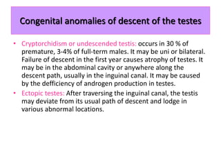 Development of the male and female genital tracts | PPTX