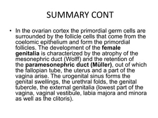 Development of the male and female genital tracts | PPTX