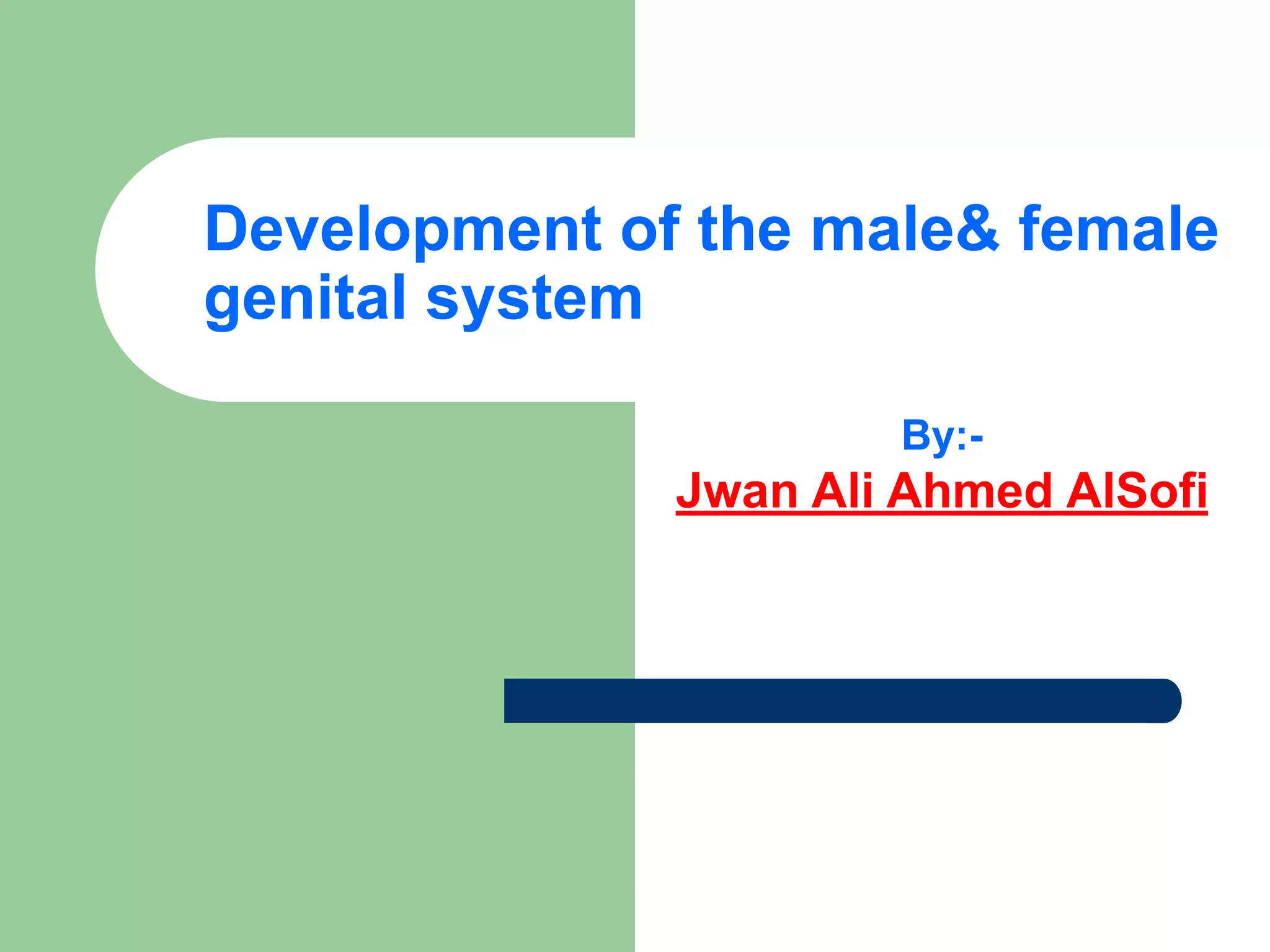 Development of the male& female genital system.pptx