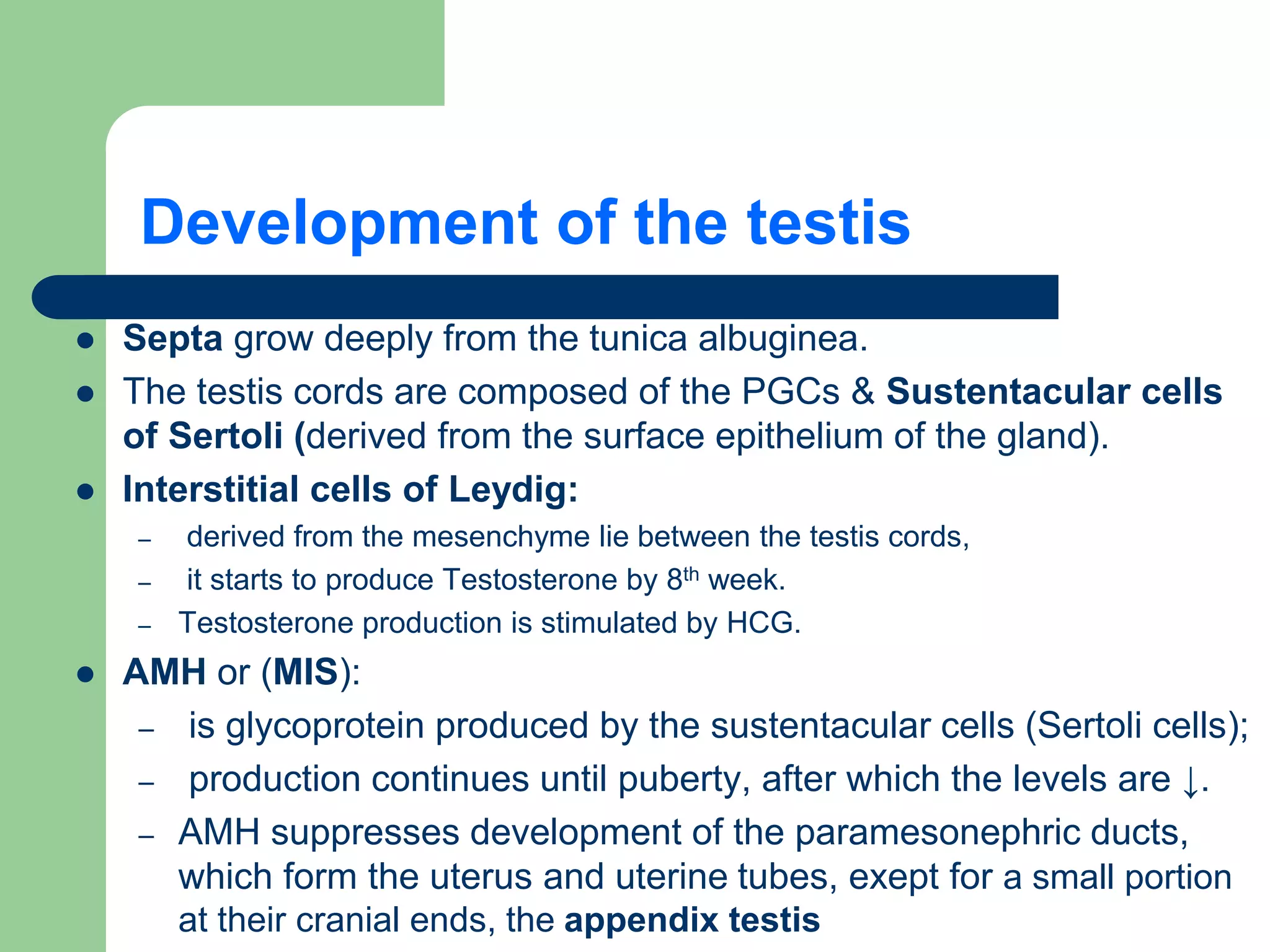 Development of the male& female genital system.pptx