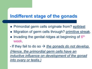 Development of the male& female genital system.pptx