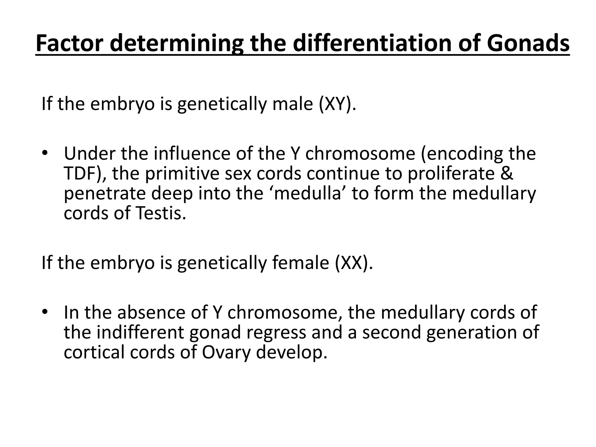Development of the male reproductive system | PPTX