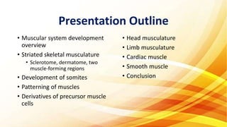 Development of the Muscular System [Human Embryology] | PPTX