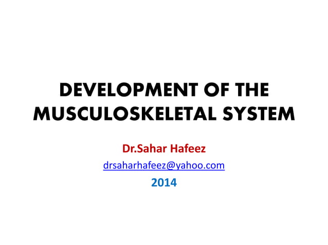 Development of the musculoskeletal system | PDF