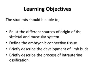 Development of the musculoskeletal system | PDF