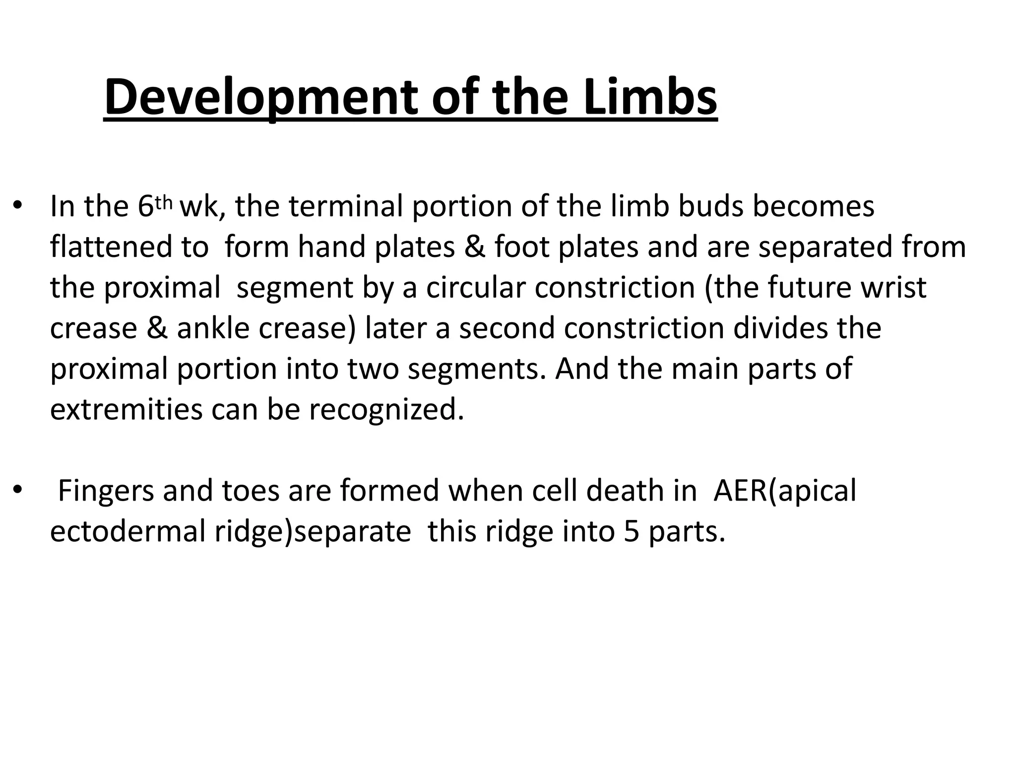 development of the musculoskeletal system.pdf