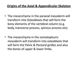 development of the musculoskeletal system.pdf