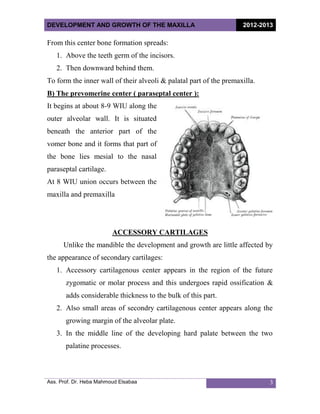 Development of the_mxilla | PDF
