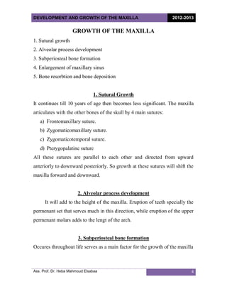 Development of the_mxilla | PDF