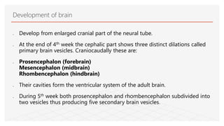 Development of the nervous system | PPTX