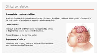 Development of the nervous system | PPTX