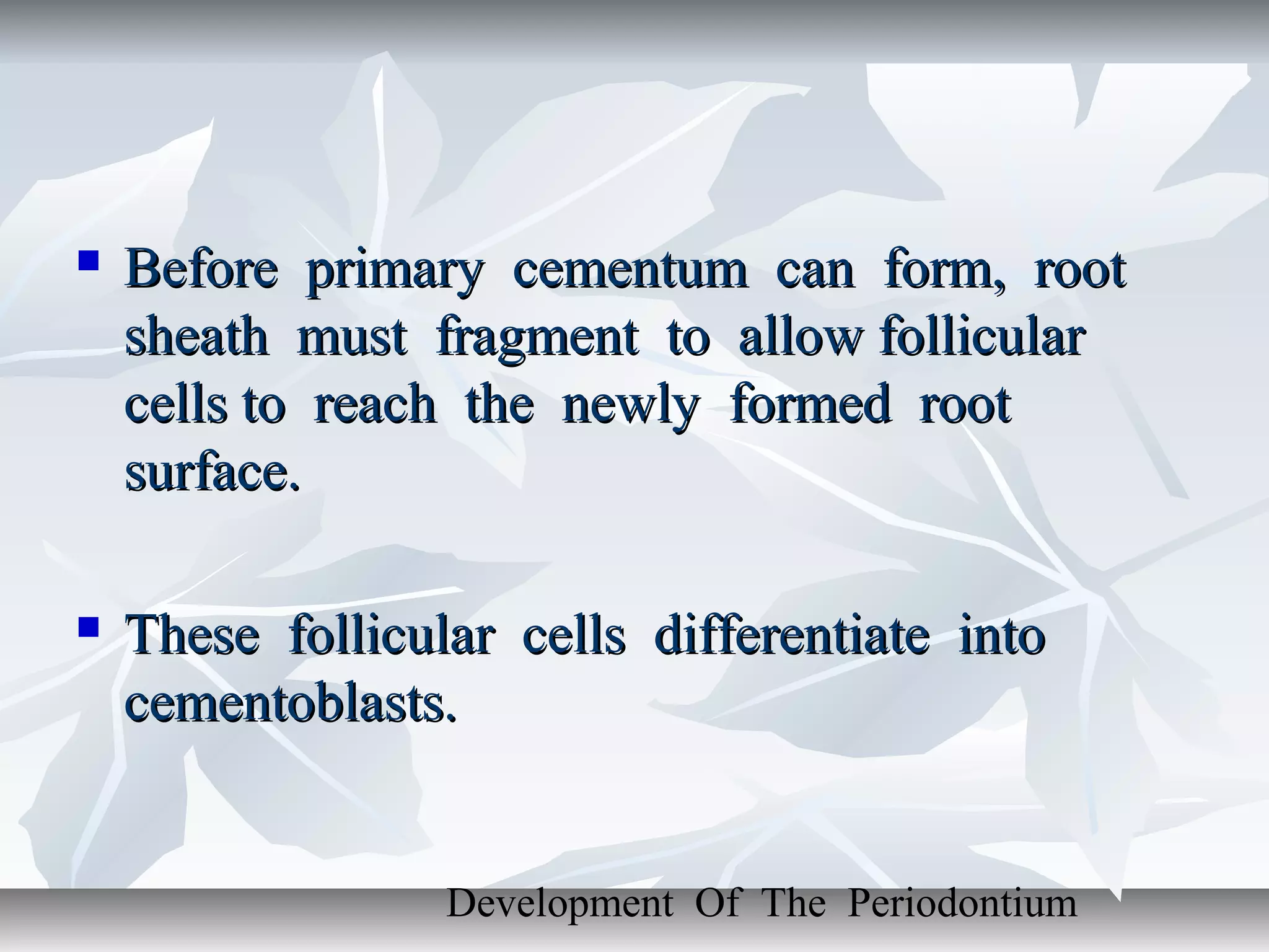 Development of the_periodontium | PPT