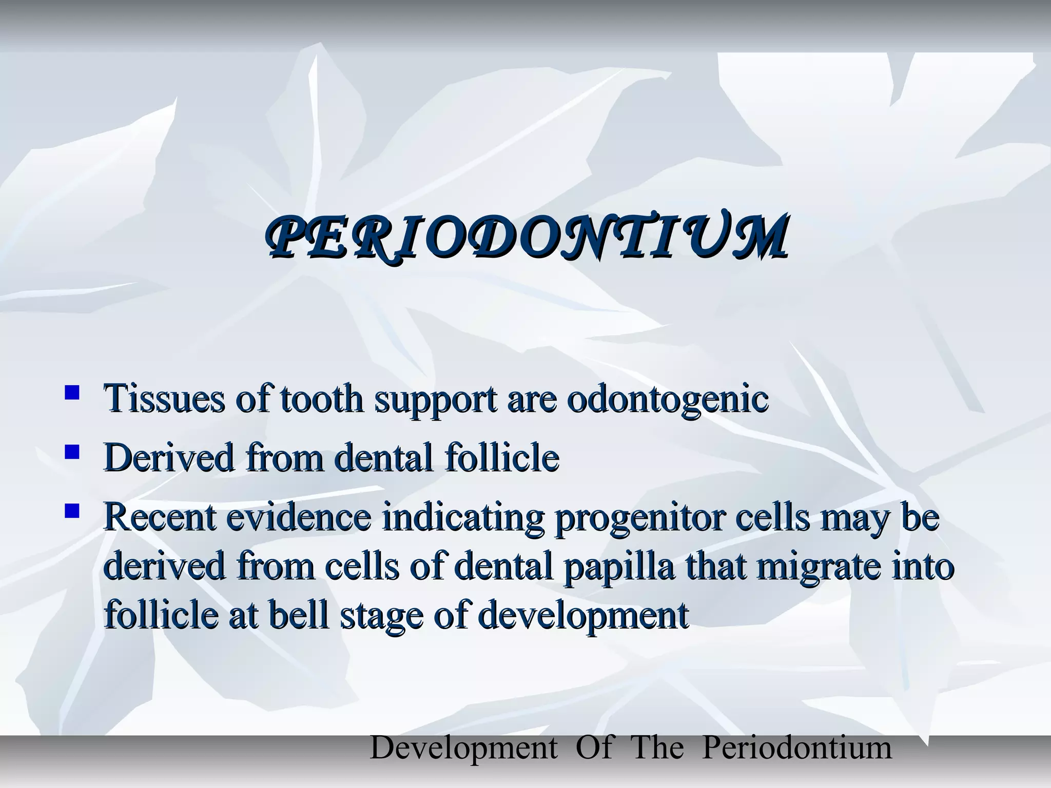 Development of the_periodontium | PPT