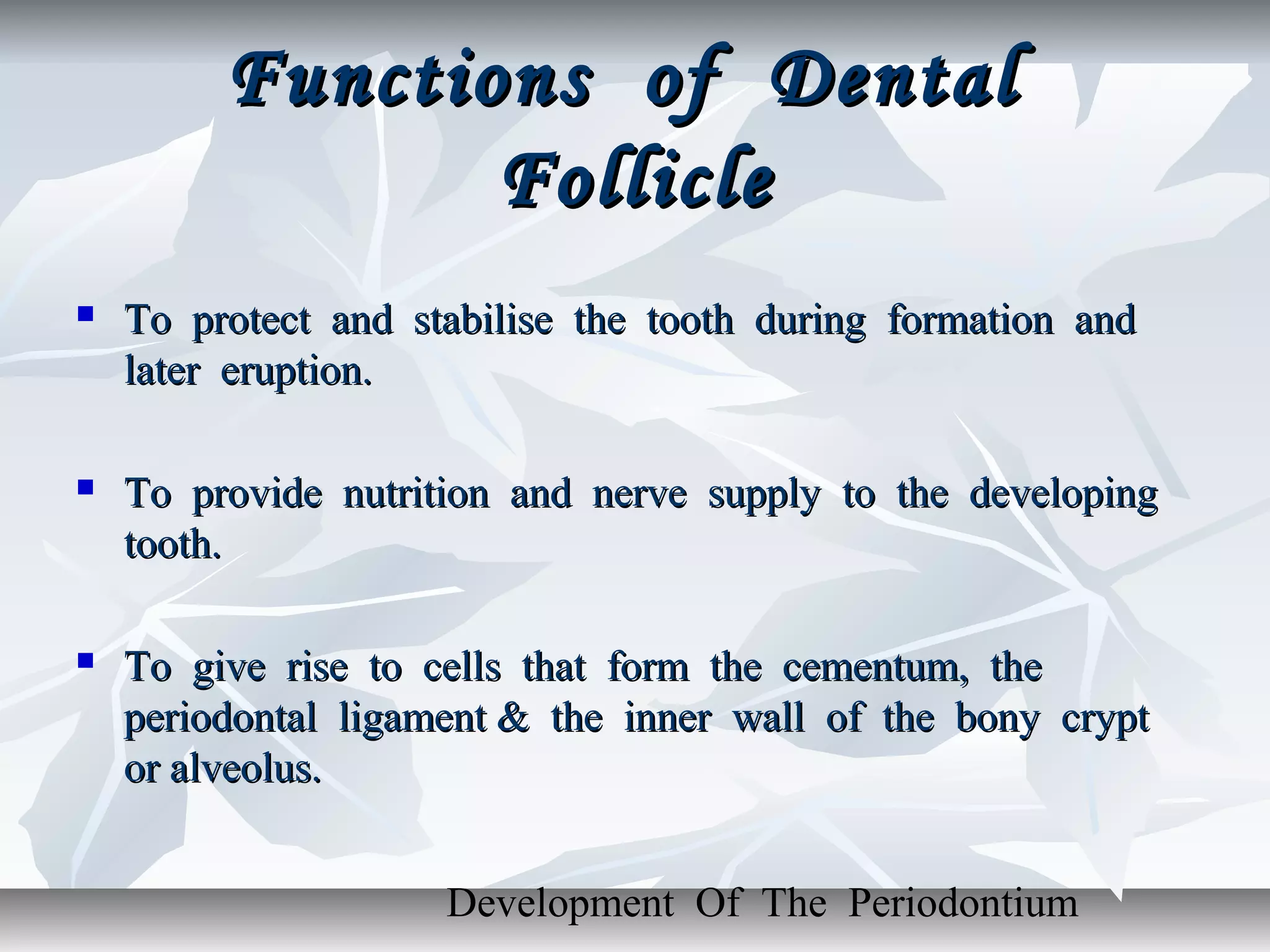 Development of the_periodontium | PPT