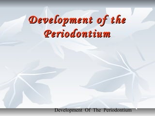 Development of the_periodontium | PPT