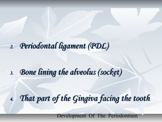 Development of the_periodontium | PPT