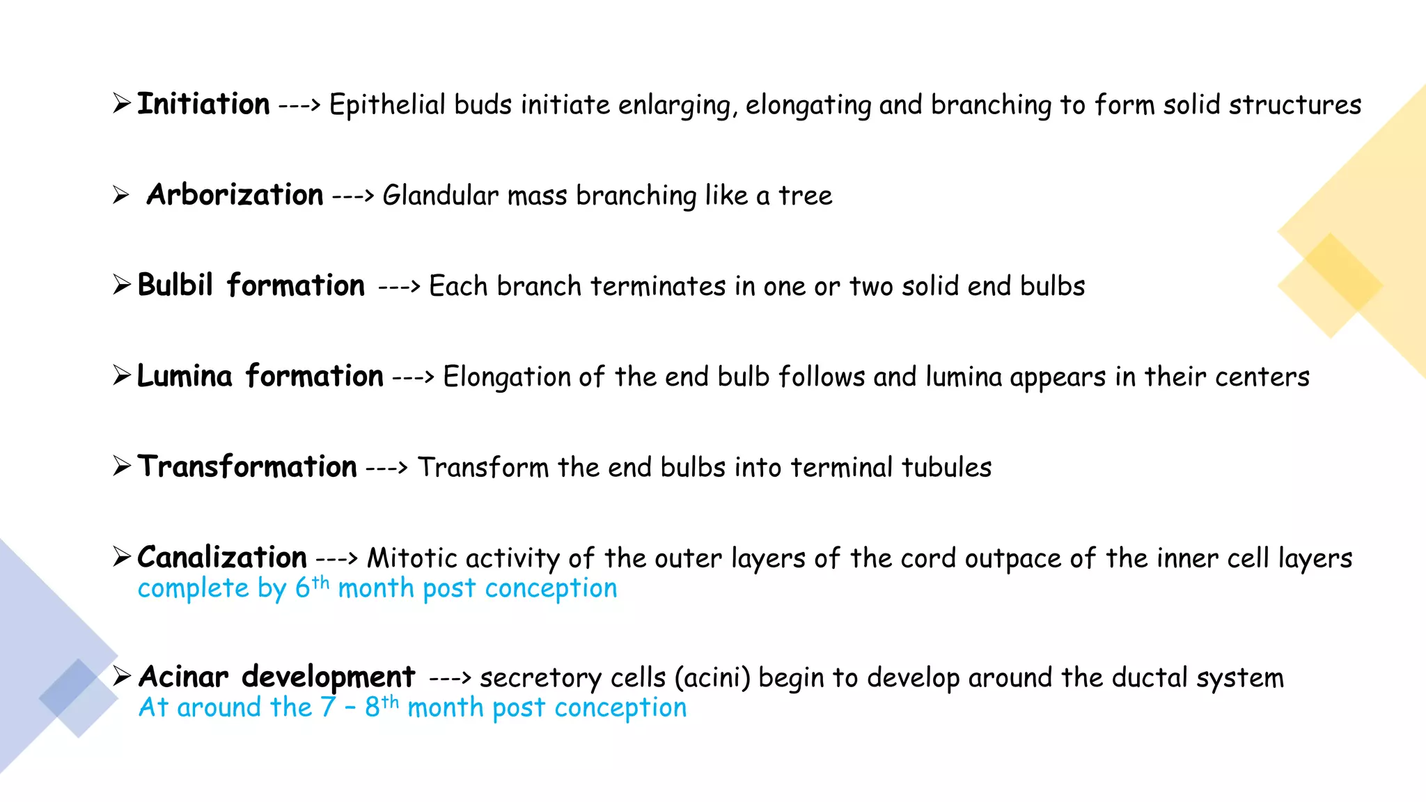 Development of the pituitary and salivary glands | PPTX