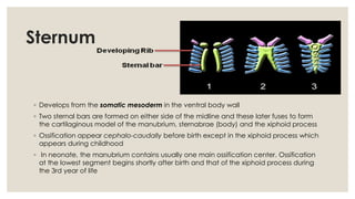 Development of the skeletal system by fathima trunkwala | PPTX