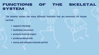 Development of the Skeletal System in Embryology | PDF