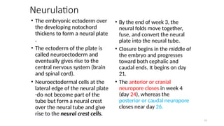 DEVELOPMENT OF THE SPINAL CORD AND BRAIN.pptx