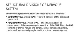 DEVELOPMENT OF THE SPINAL CORD AND BRAIN.pptx