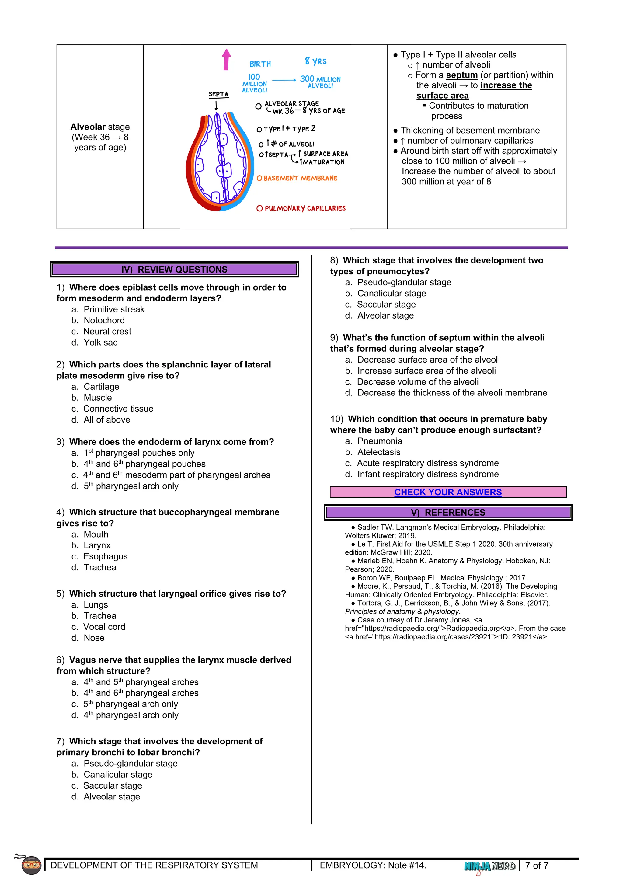 Development of the System respiratory embryo | PDF