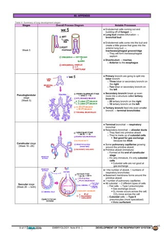 Development of the System respiratory embryo | PDF
