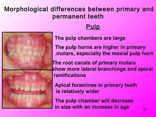Development of the teeth and occlusion | PPT