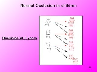 Development of the teeth and occlusion | PPT