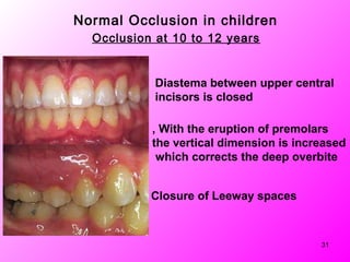 Development of the teeth and occlusion | PPT