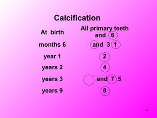 Development of the teeth and occlusion | PPT