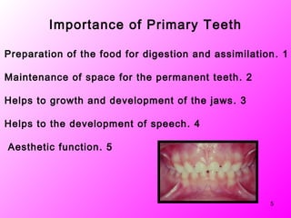 Development of the teeth and occlusion | PPT