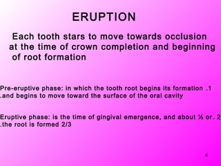 Development of the teeth and occlusion | PPT