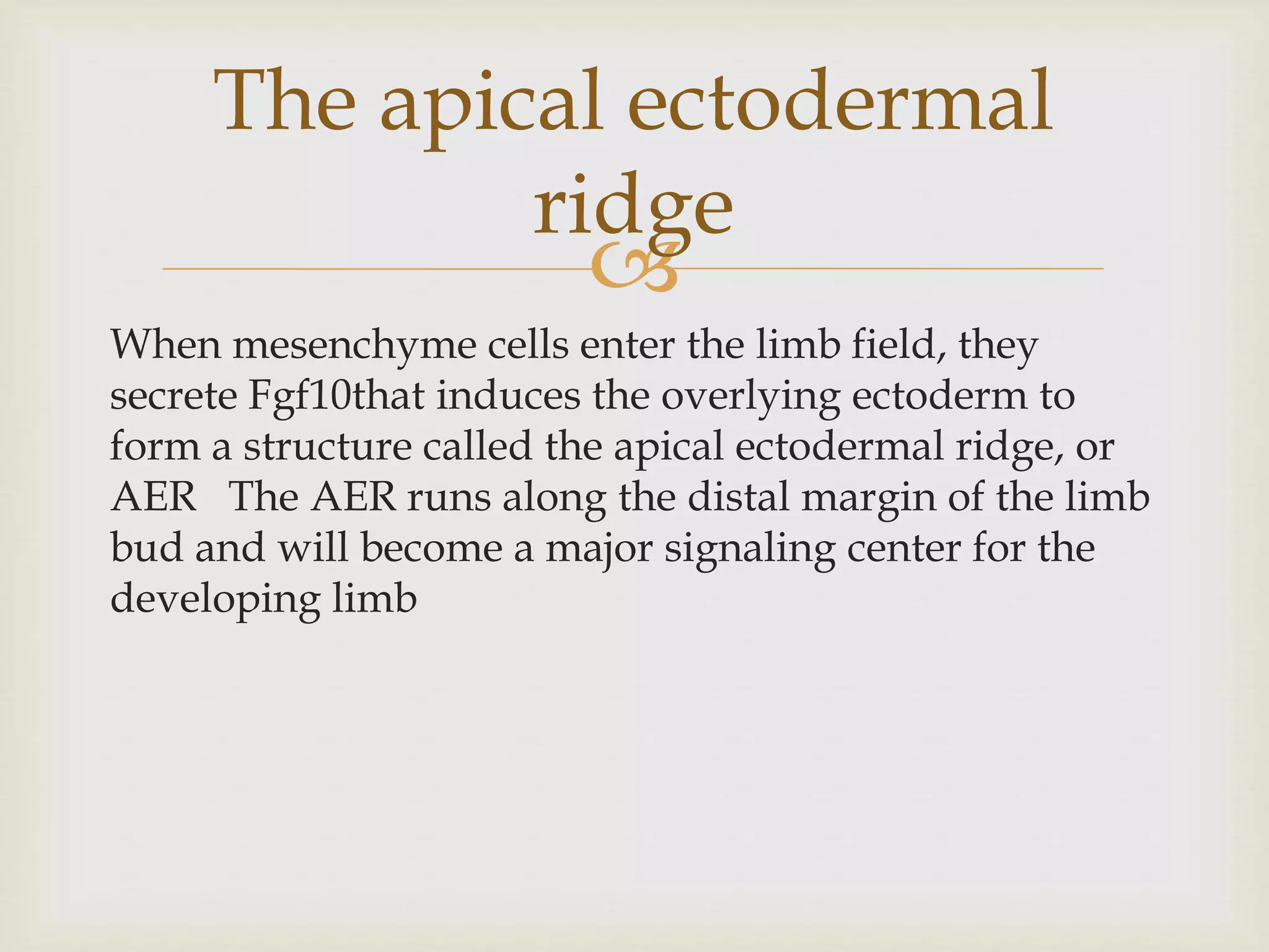 Development of the Tetrapod Limb.pptx