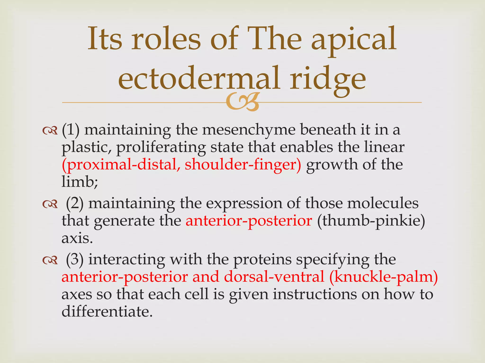 Development of the Tetrapod Limb.pptx