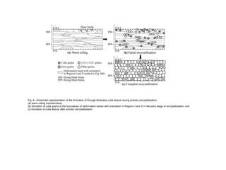 Development of Through-Thickness Cube Recrystallization Texture.pptx