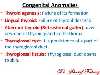 Development of Thyroid Gland (Special Embryology) | PPS