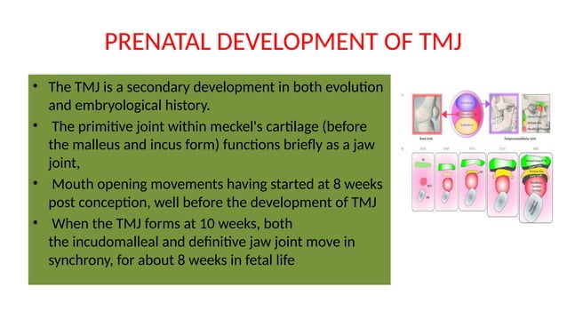 DEVELOPMENT OF TMJ IN orthodpntics23.pptx