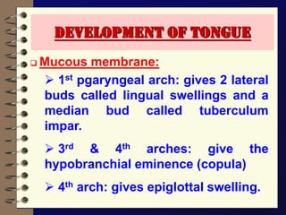 Development of togue& glands by Dr. Noura 2014 | PDF