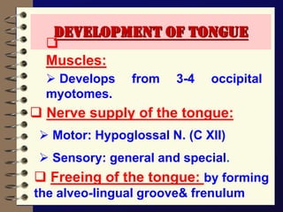Development of togue& glands by Dr. Noura 2014 | PDF