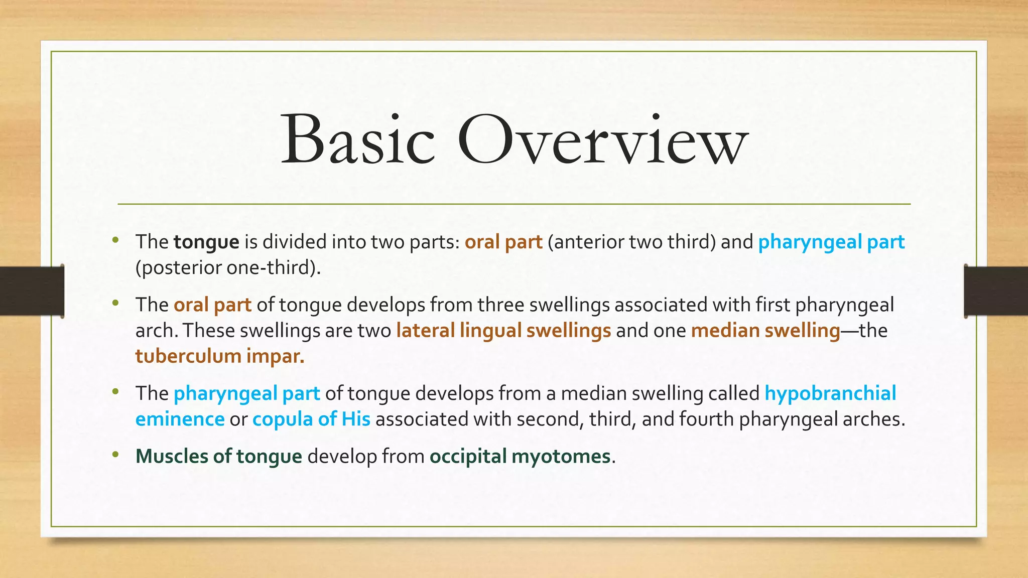 Development of tongue | PPTX