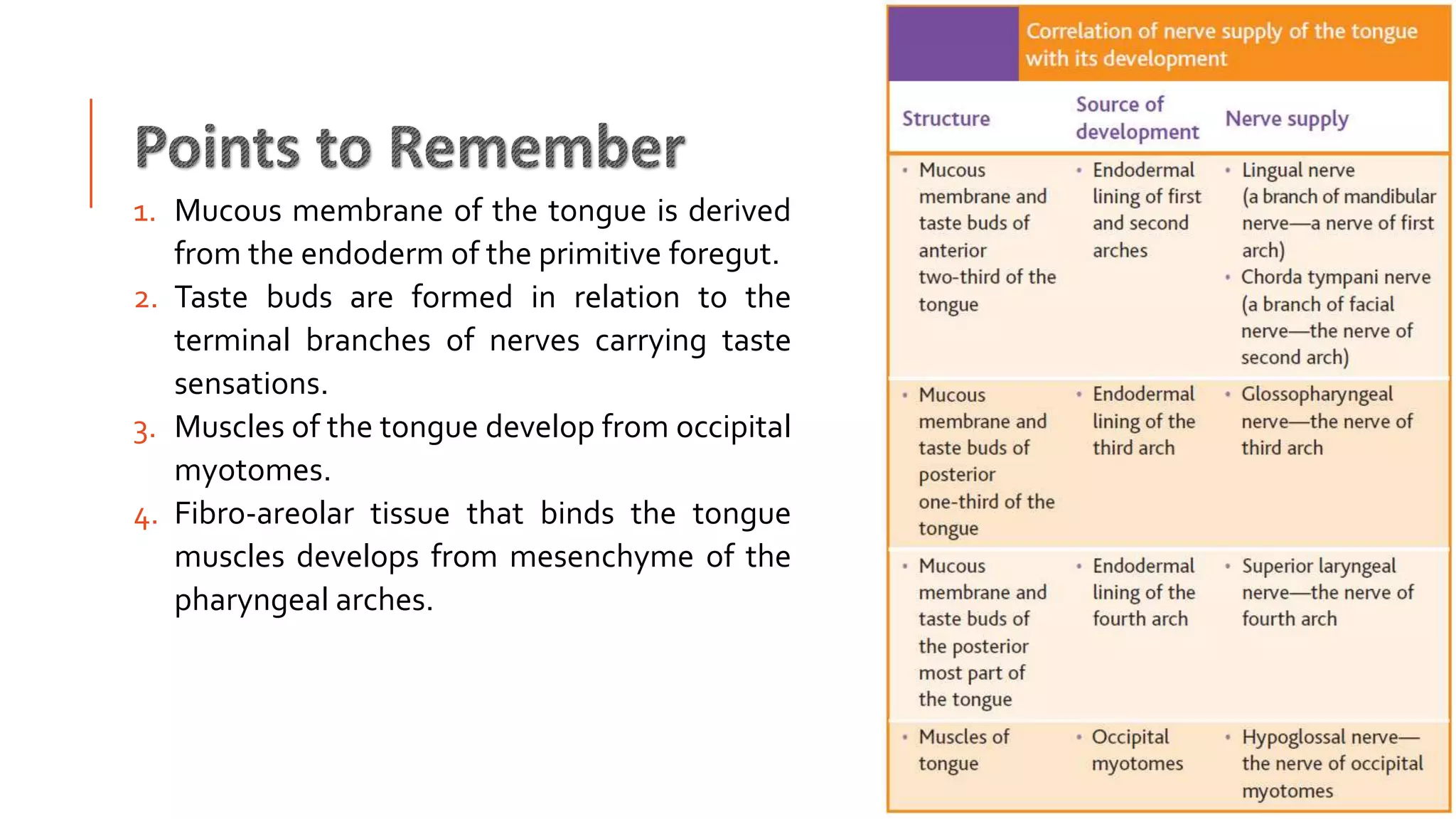 Development of tongue | PPTX