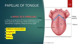 Development of tongue and its applied anatomy | PPTX