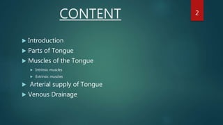 Development of tongue and its applied anatomy | PPTX
