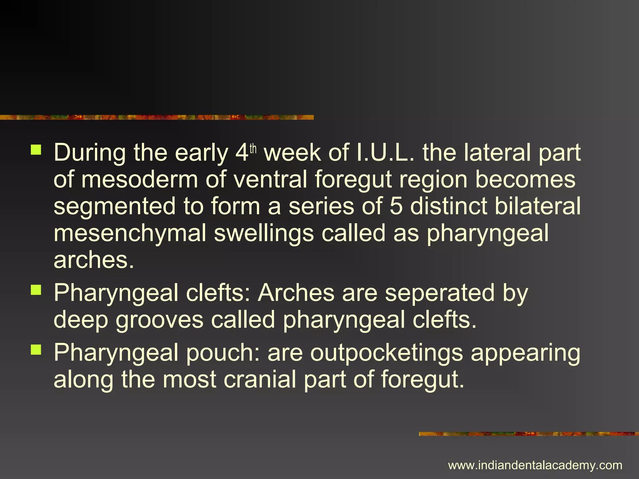 Development of tongue and its salivary glands / dental implant courses ...