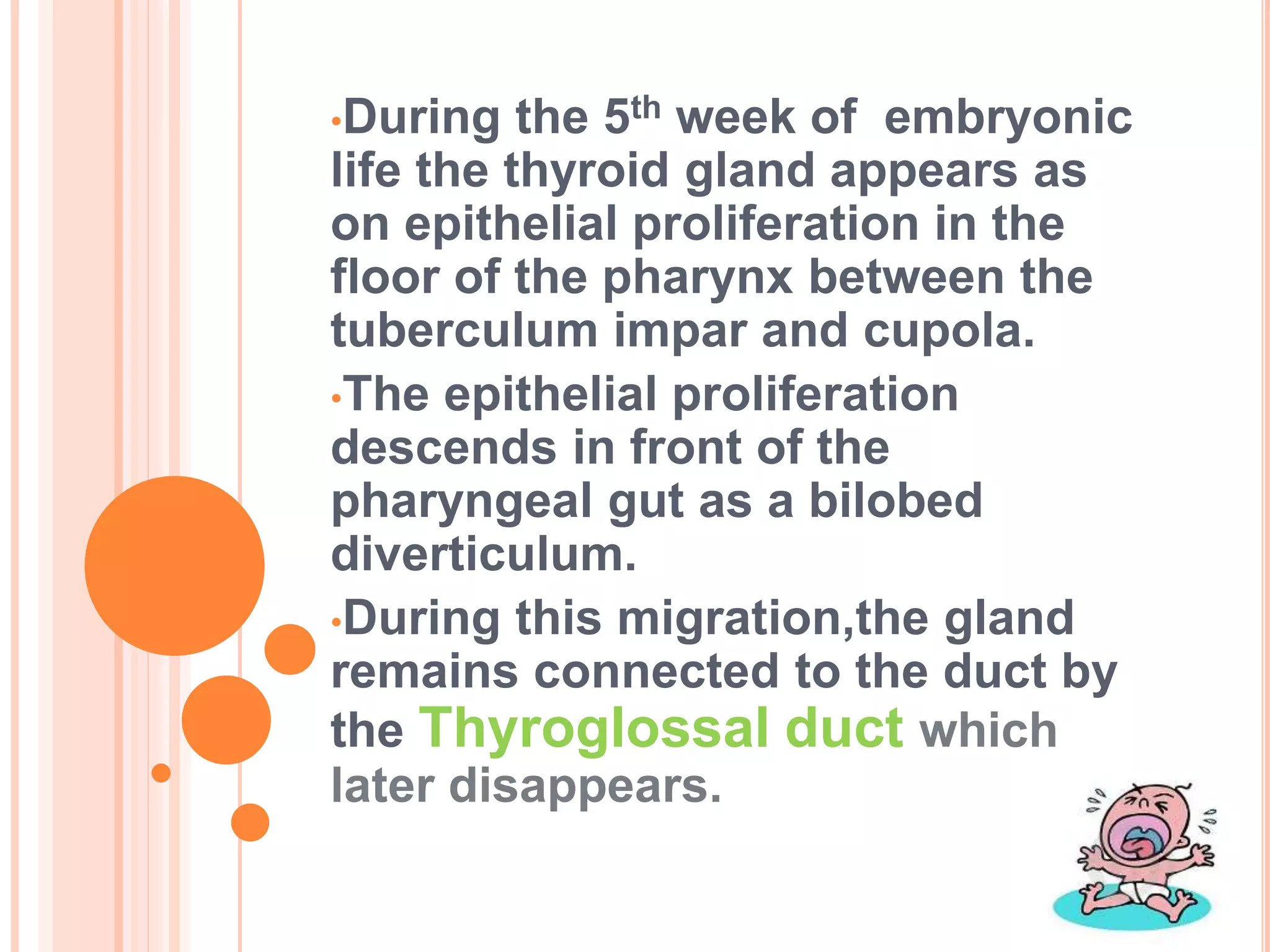 Development of tongue and thyroid gland | PPTX