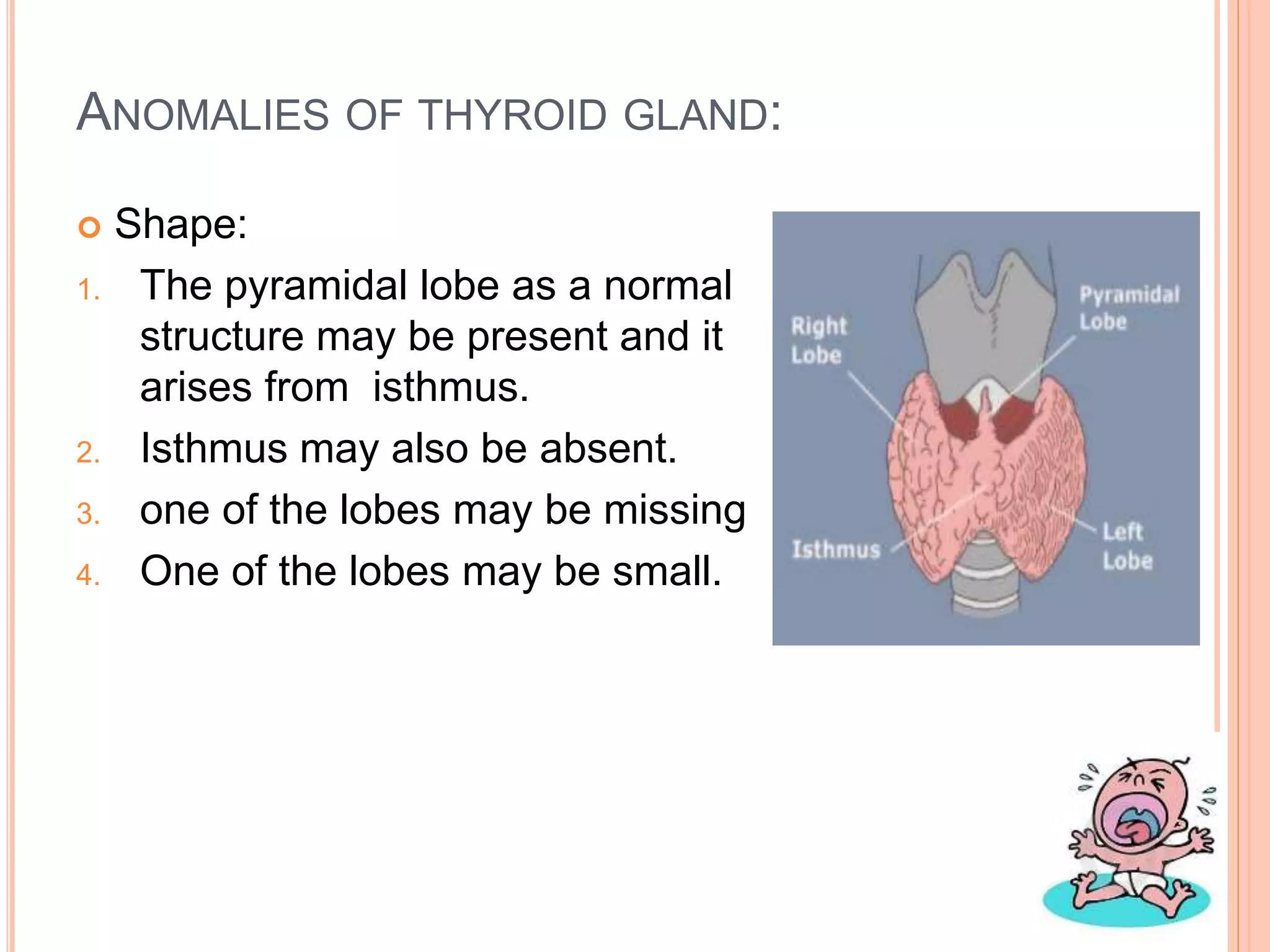 Development of tongue and thyroid gland | PPTX
