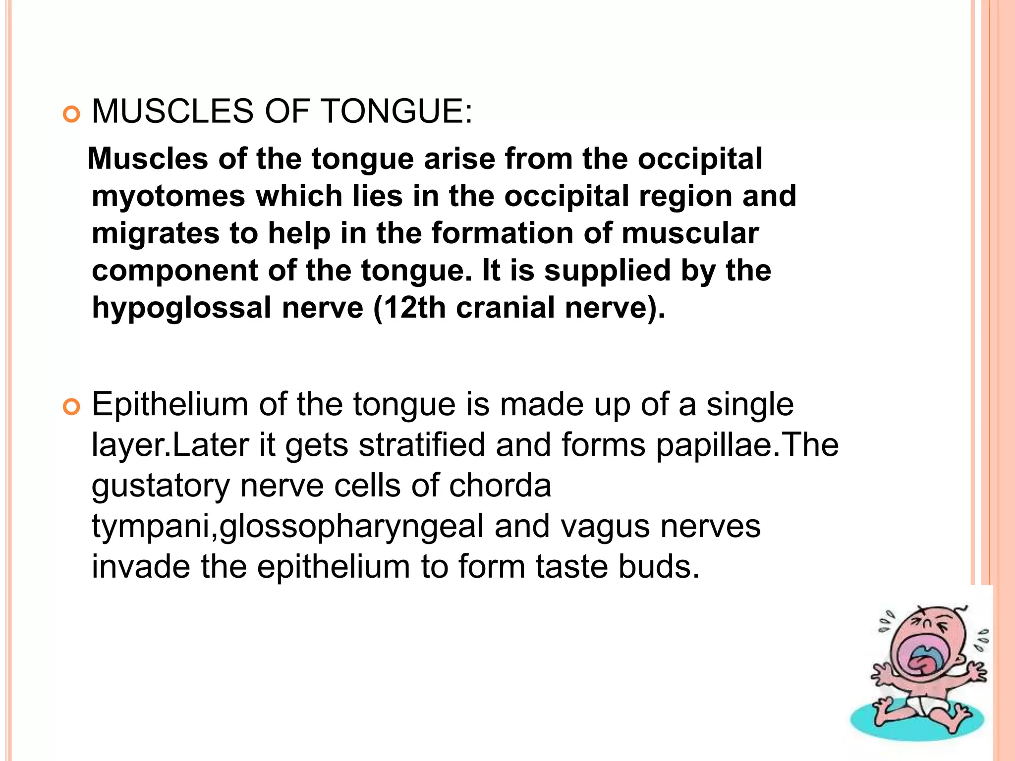 Development of tongue and thyroid gland | PPTX