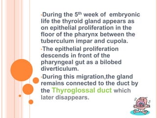 Development of tongue and thyroid gland | PPTX