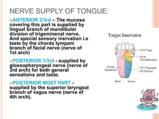 Development of tongue and thyroid gland | PPTX